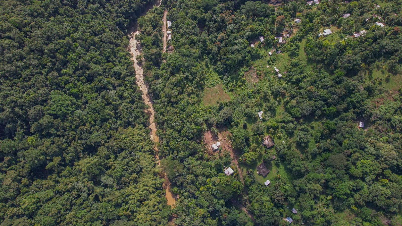 8 Acres of Prime Riverfront Development Land for Sale in St. Mary, Jamaica