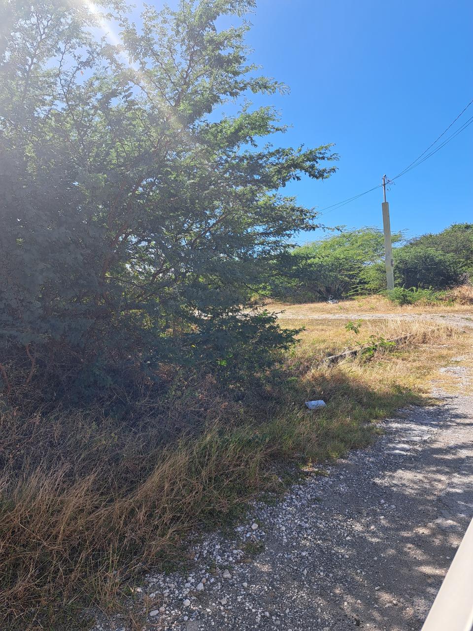 Charming 3 Bedroom House for Sale in Albion Estates, Yallahs, St. Thomas