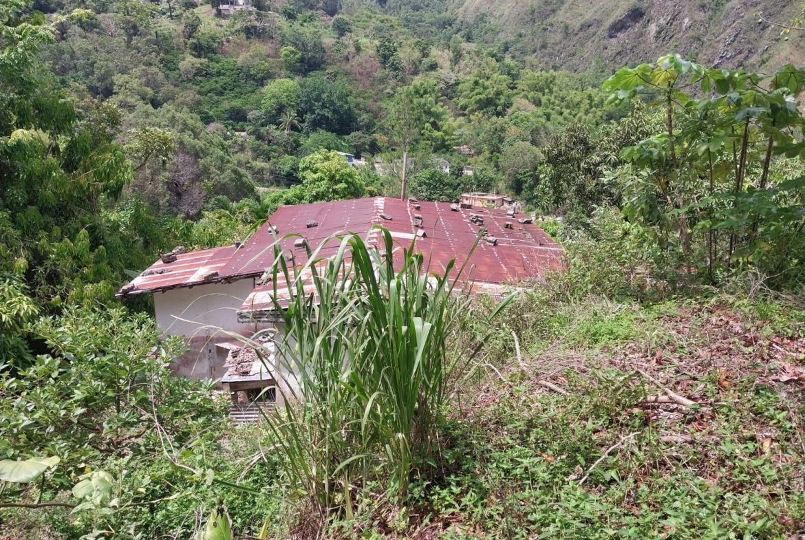 House for Sale in Mavis Bank, St. Andrew, Jamaica – 8 Acres with ...