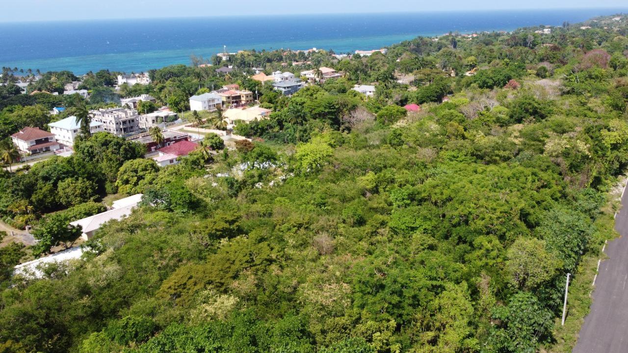 Ocean View Residential Lot for Sale in Roystonea, Tower Isle, St. Mary ...