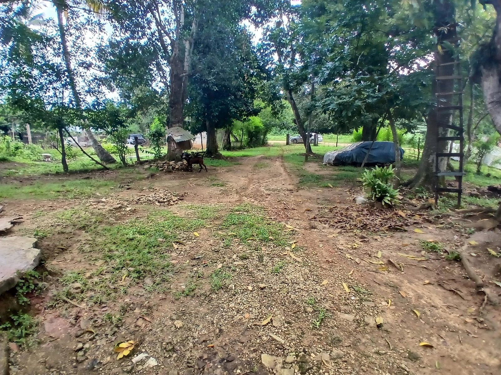 Residential Lot for Sale in Commodore, St. Catherine, Jamaica