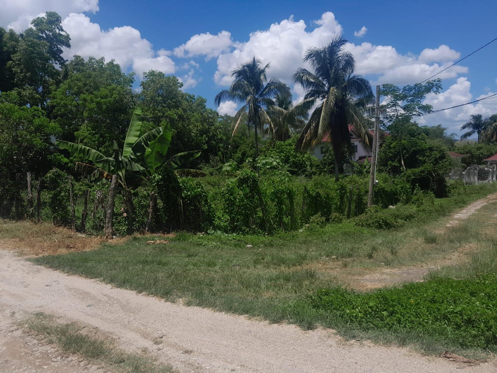 Residential Lot for Sale in Bybrook, St. Elizabeth, Jamaica – 1,600 sqm