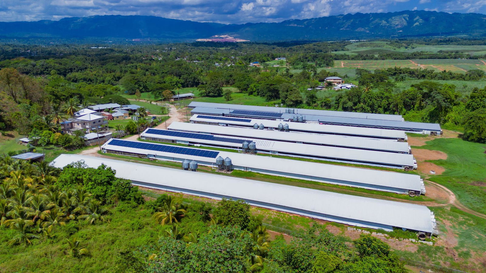 Turnkey Livestock Farm for Sale in St. Catherine, Jamaica | 128 Acres