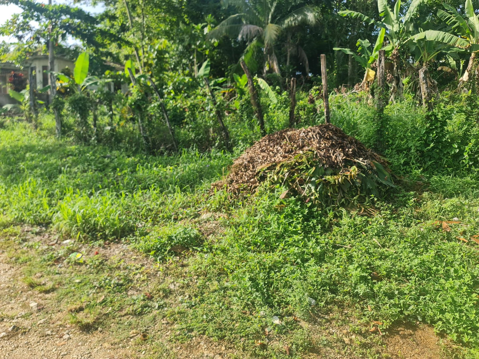 Residential Land for Sale in St. Elizabeth, Jamaica – Lot 61 Upper Retreat