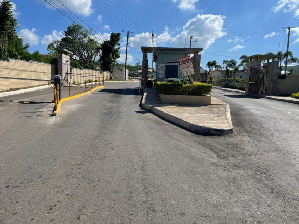 Tashika Vassell - NewLocay